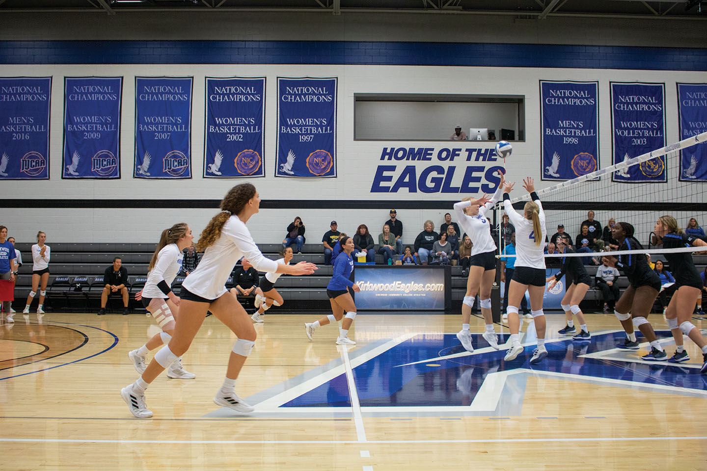 Thoughts from the players: Volleyball teammates reflect on season and ...
