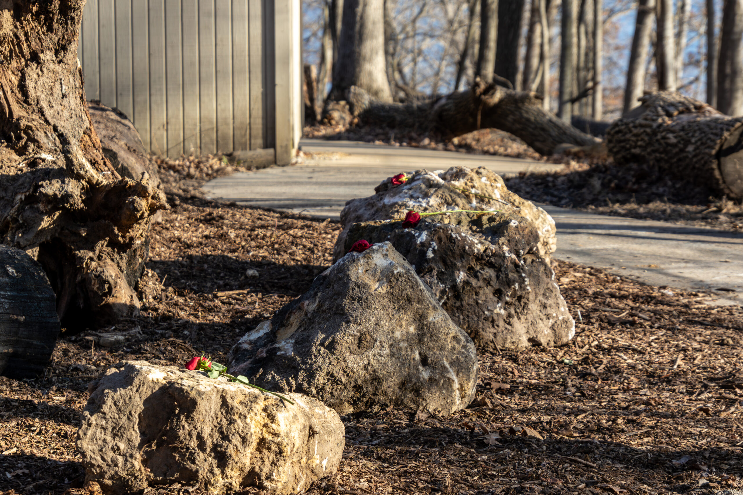 Iowa Raptor Project loses four raptors – Kirkwood Communiqué