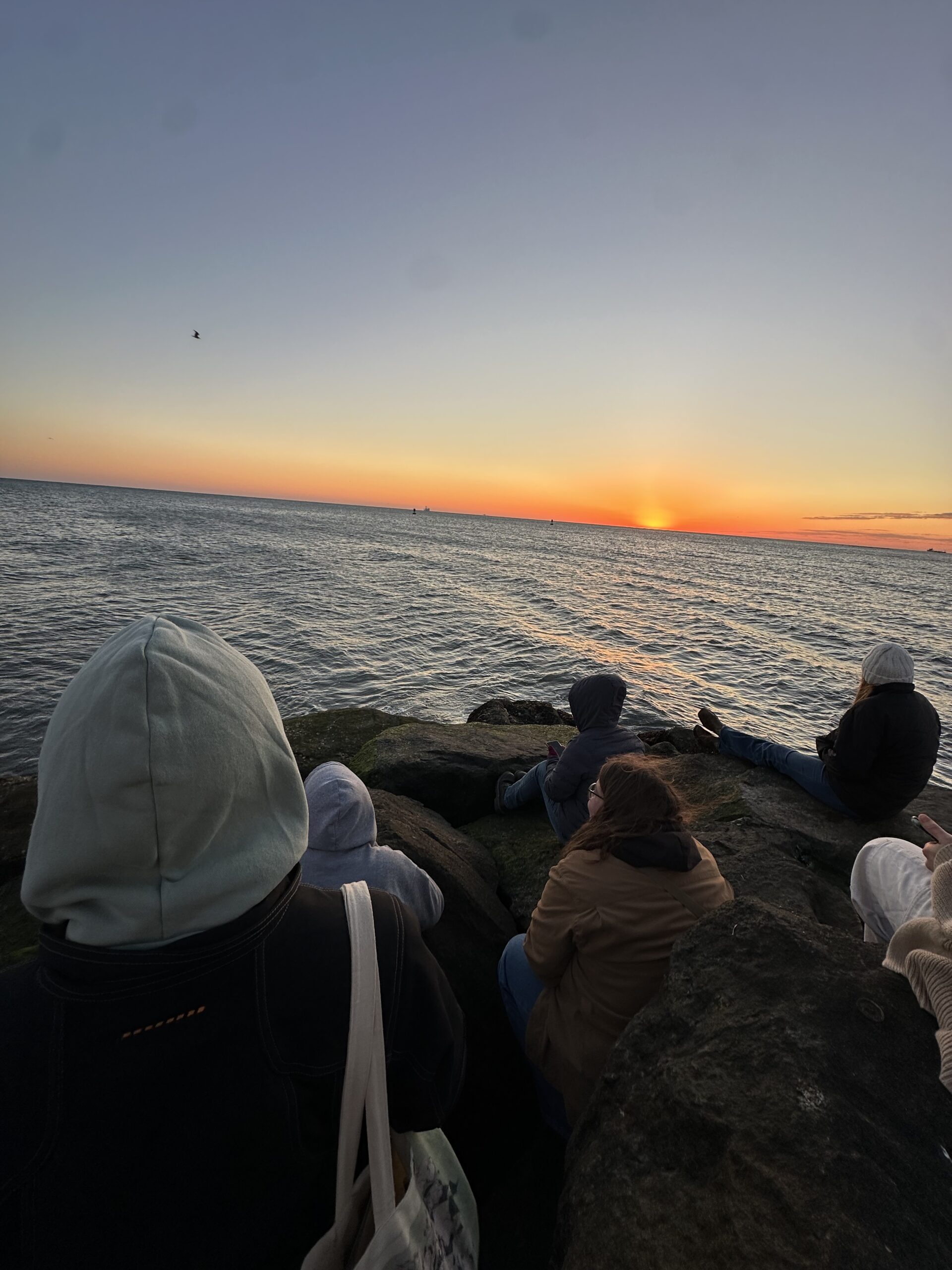 Women in Natural Resources club makes waves – Kirkwood Communiqué