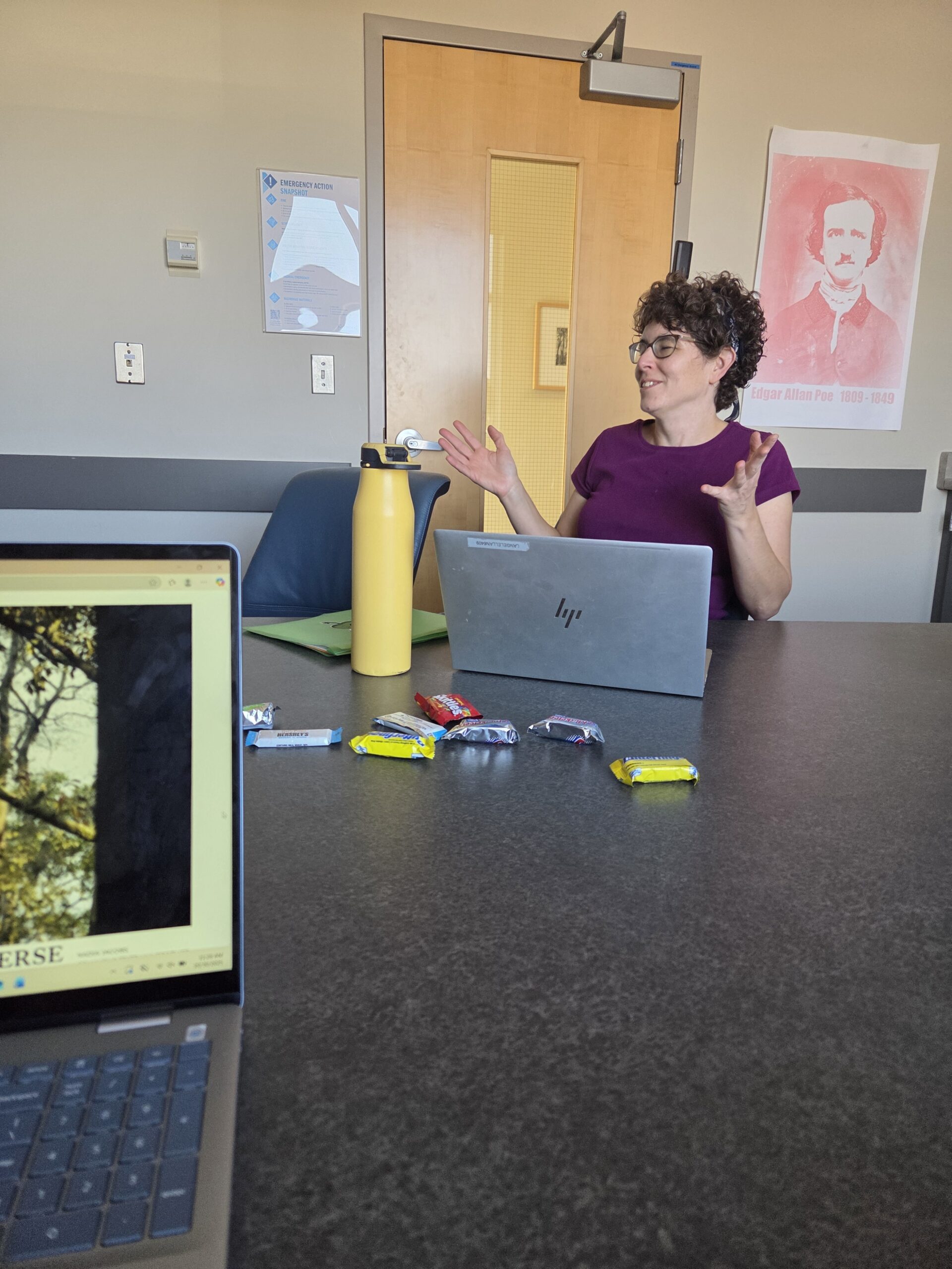 The life of a professor: Lisa Angelella – Kirkwood Communiqué